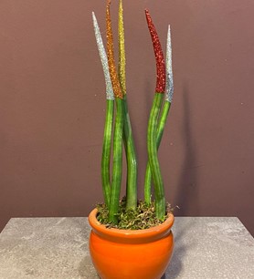 Merit Flower | Ankara Çiçekçi